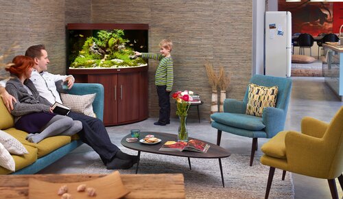 Trigon 350 LED | JUWEL Aquarium