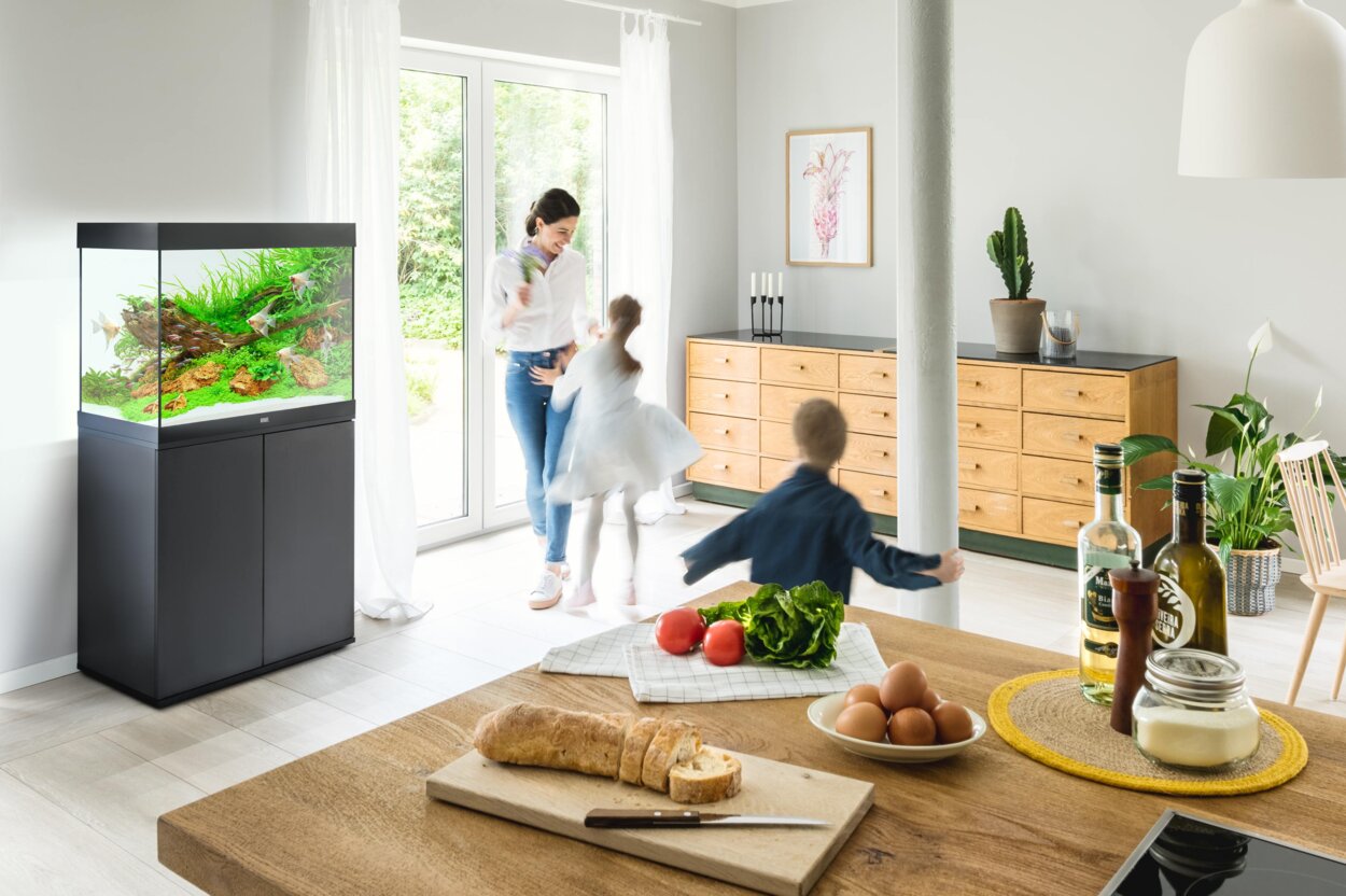 Lido 200 LED | JUWEL Aquarium