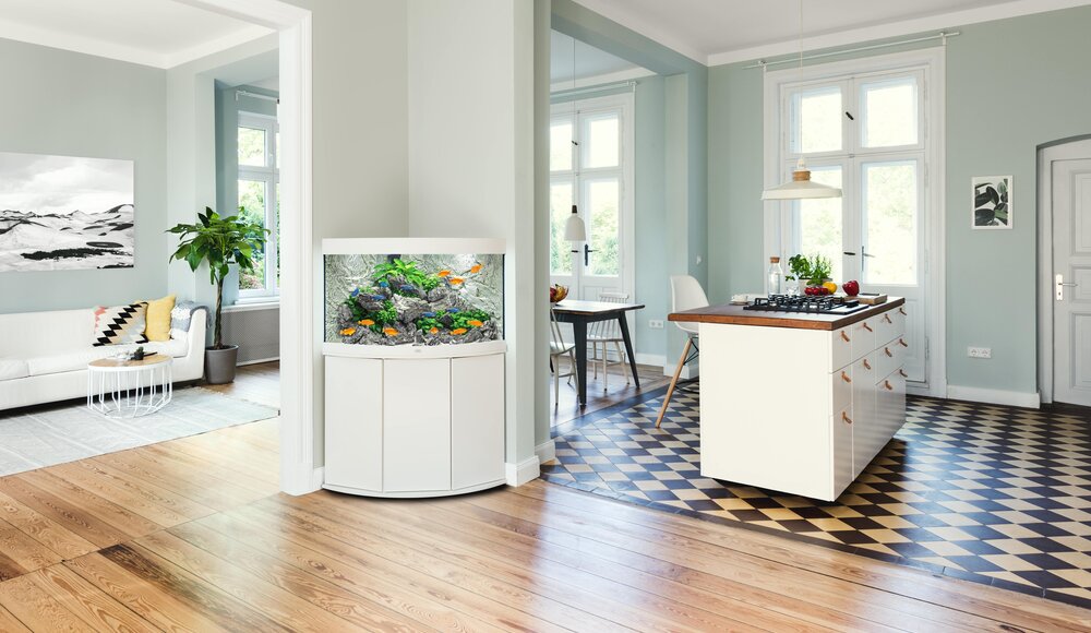 Trigon 190 LED | JUWEL Aquarium