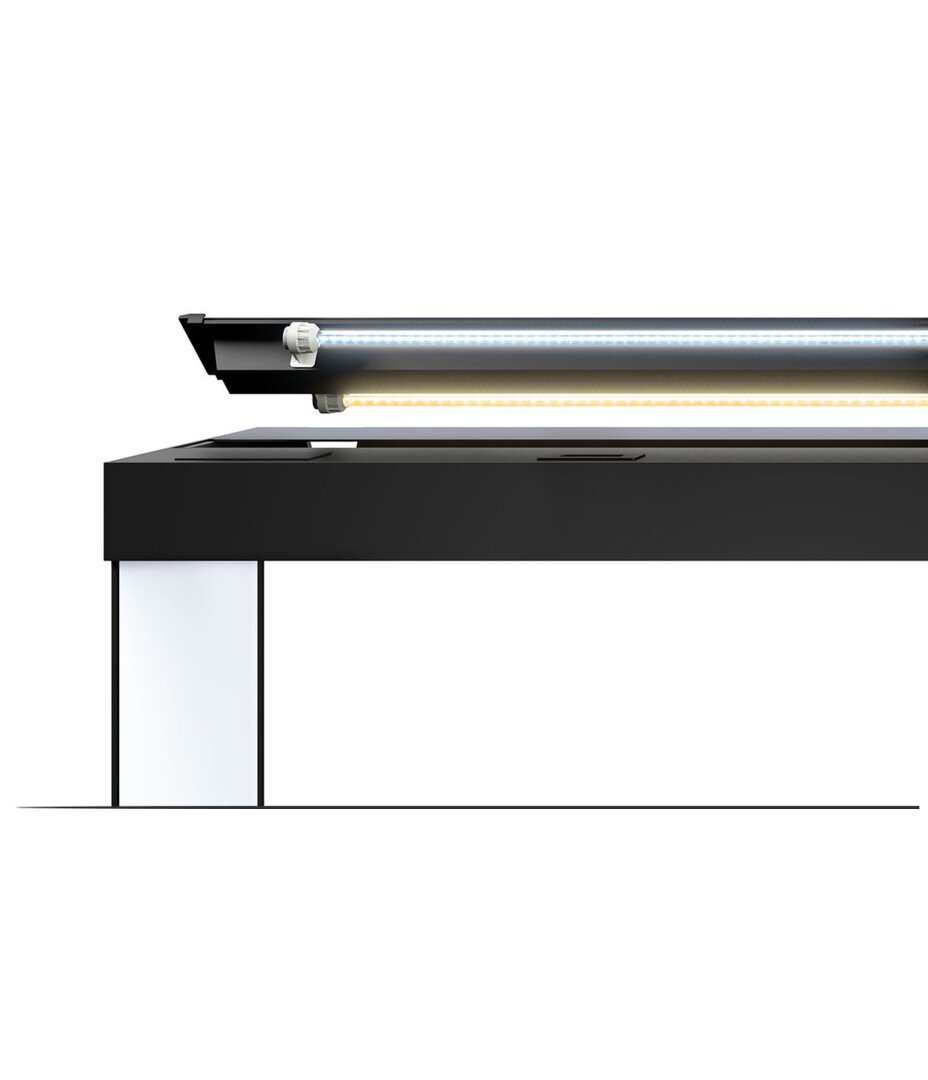 Rio 180 LED | JUWEL Aquarium