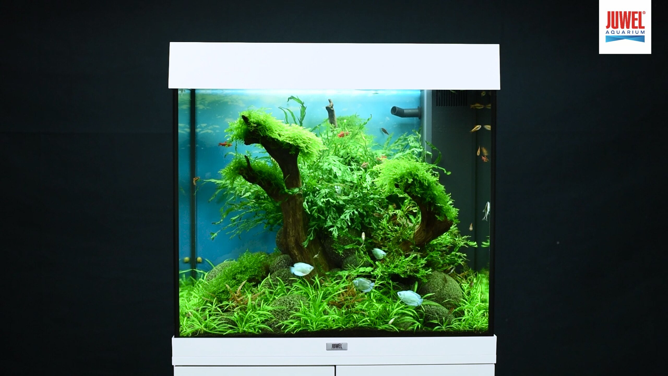 Rio 125 LED | JUWEL Aquarium