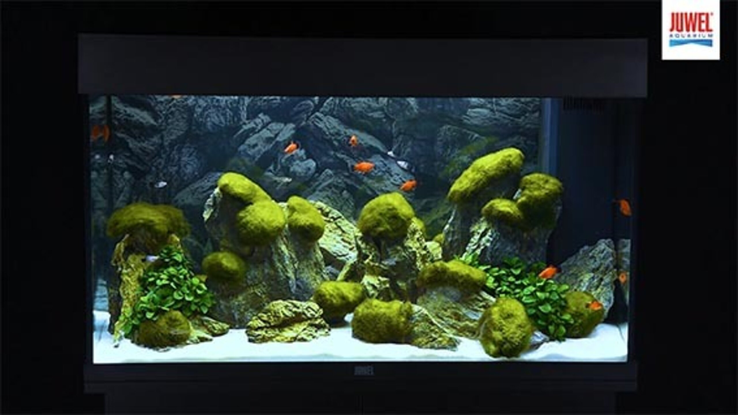Trigon 190 LED | JUWEL Aquarium