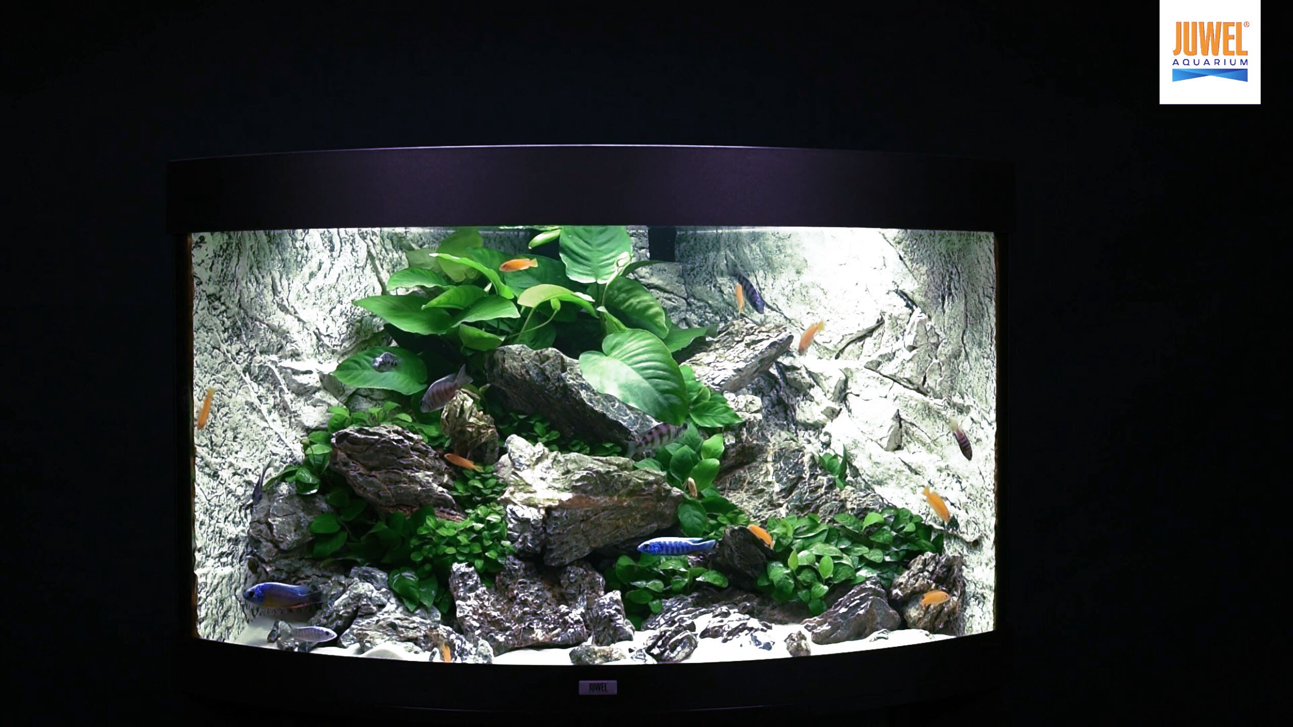 Rio 180 LED | JUWEL Aquarium