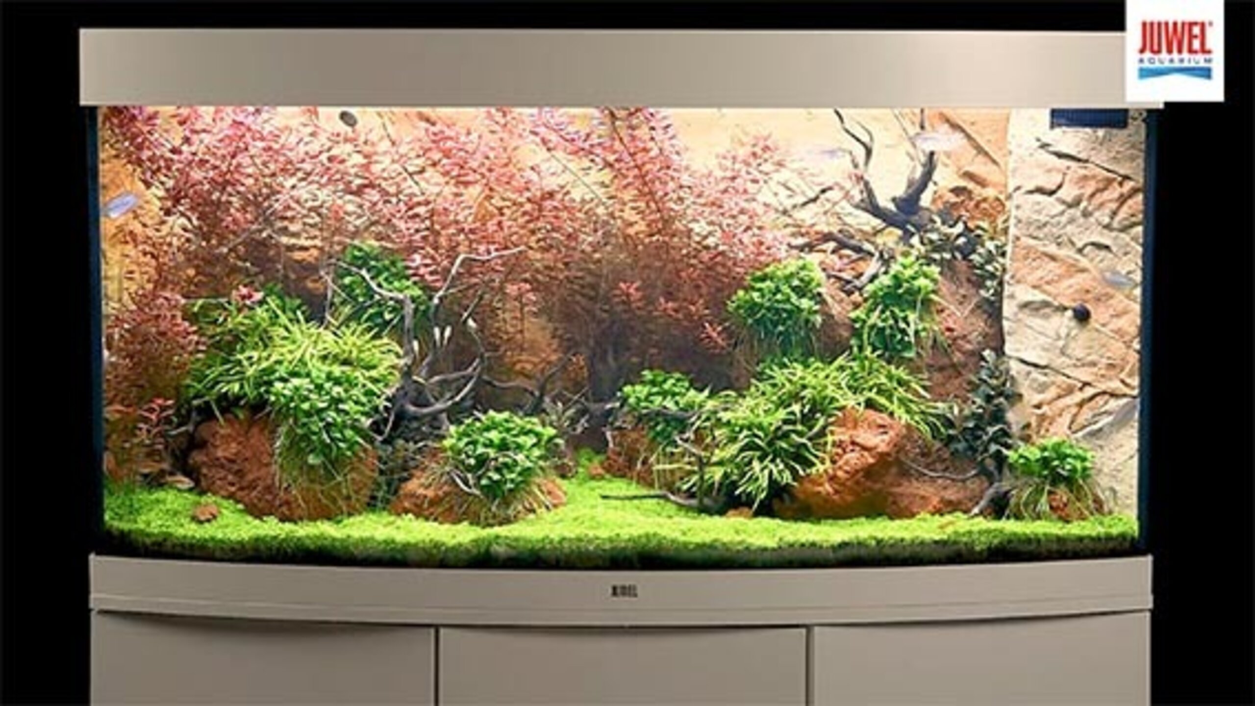 Rio 240 LED | JUWEL Aquarium