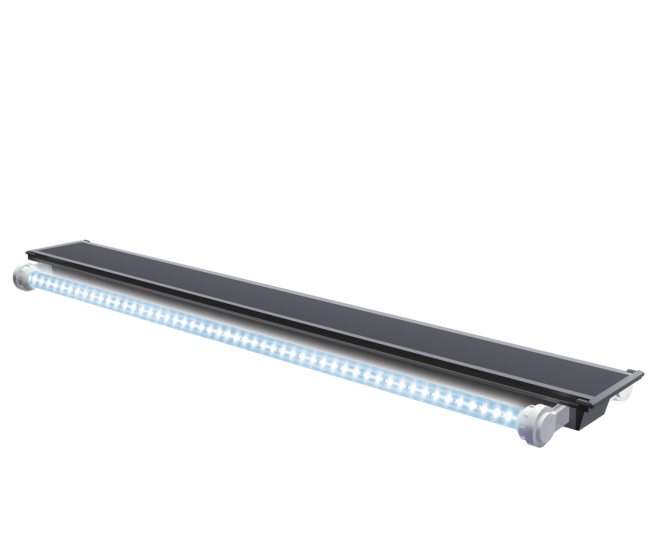 MultiLux LED | JUWEL Aquarium