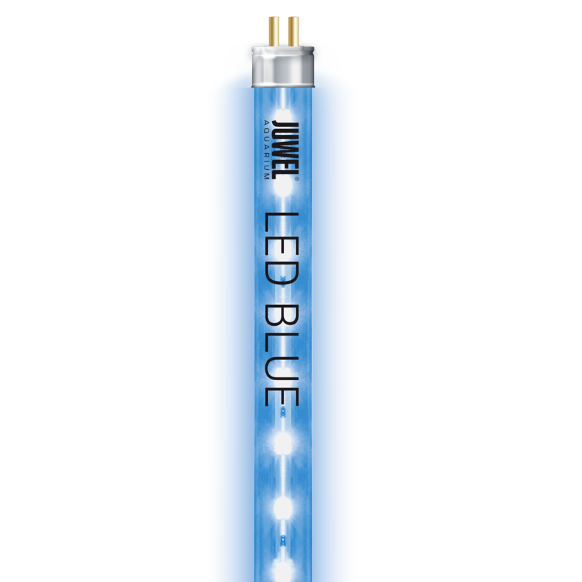 Lighting | JUWEL Aquarium