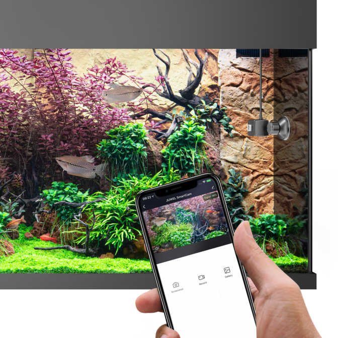 SmartCam | JUWEL Aquarium