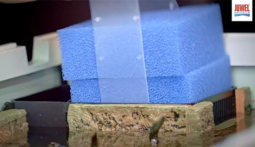 setup-8 | JUWEL Aquarium