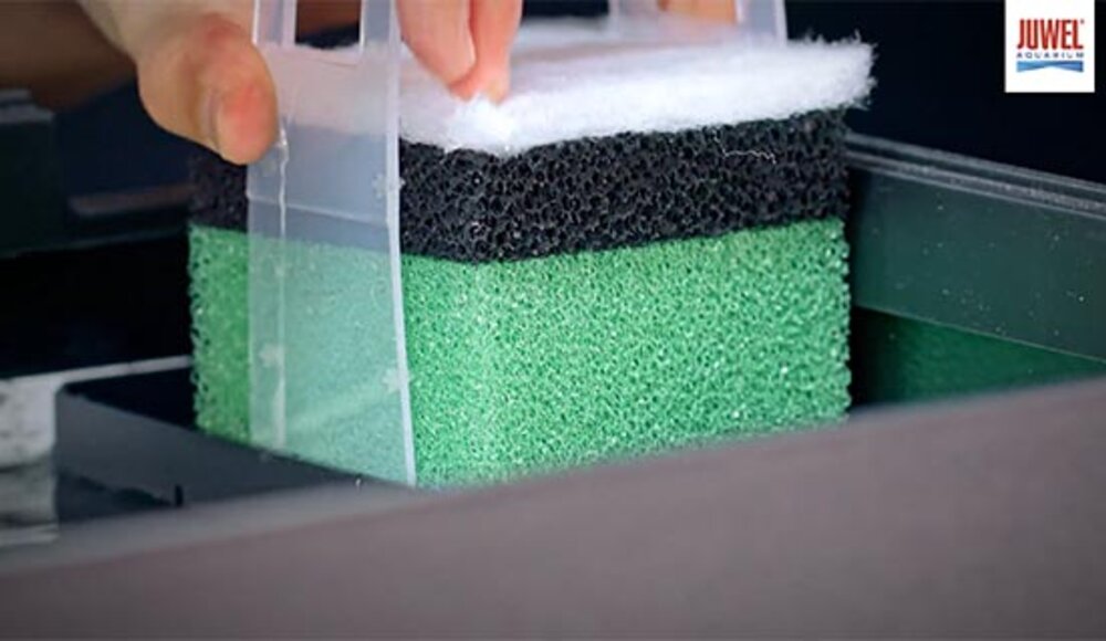 setup-9 | JUWEL Aquarium